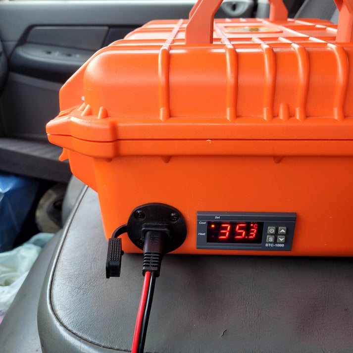 Portable and Durable 150-Cell Queen Cell Carrier – BeaverCreek Honey